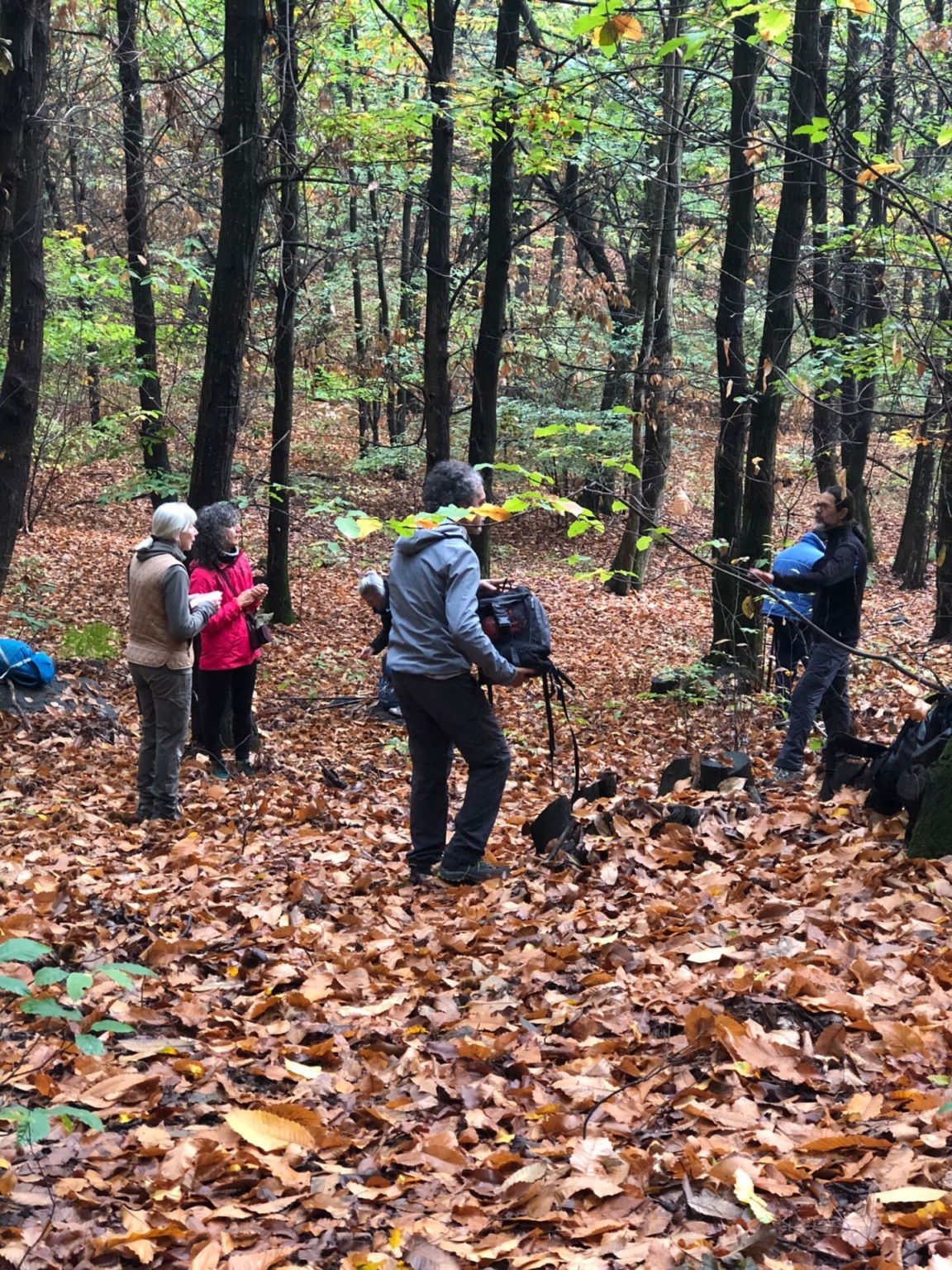 All'Oasi Lipu Bosco Negri immersioni nel bosco con il "Forest Bathing" - Prima Pavia