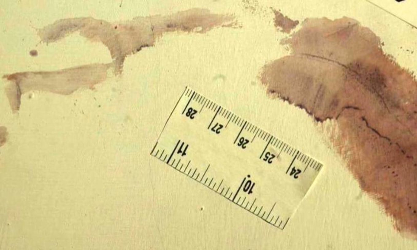 Garlasco, la legale di Sempio: "L'impronta? 15 minuzie senza utilità ...